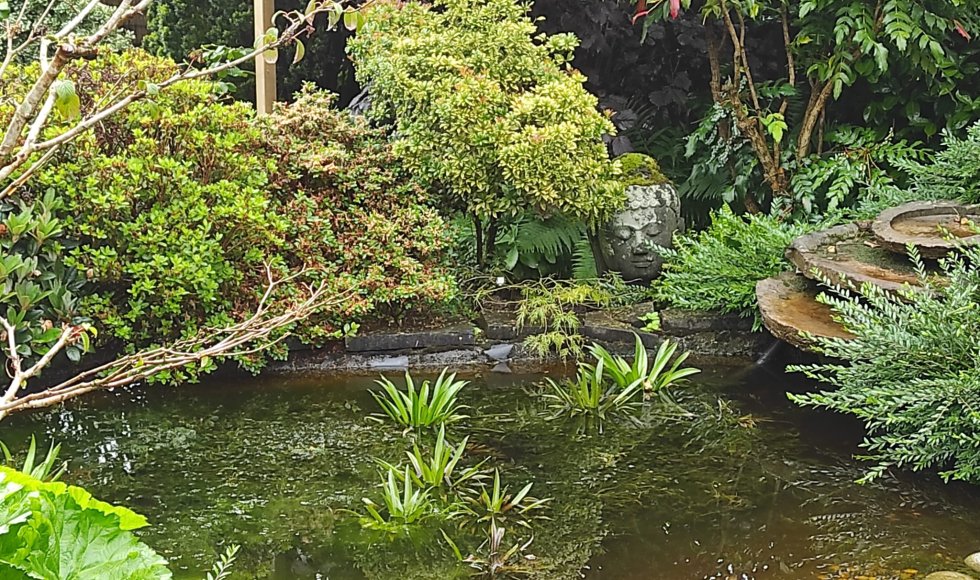 Tuin van Danielle | Velt